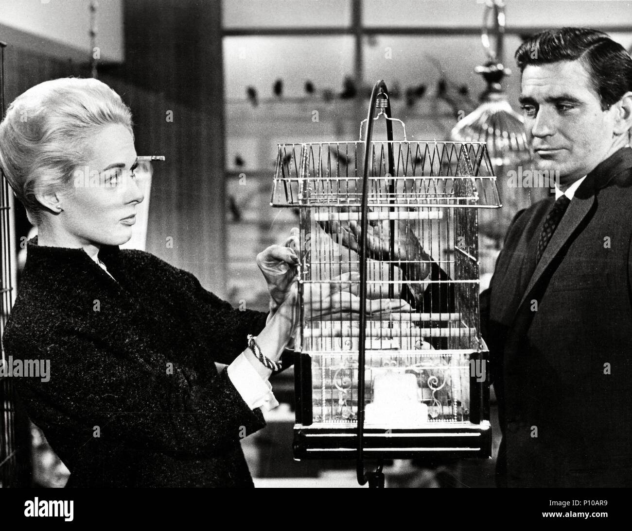 Birds 1963 rod taylor hi-res stock photography and images - Alamy