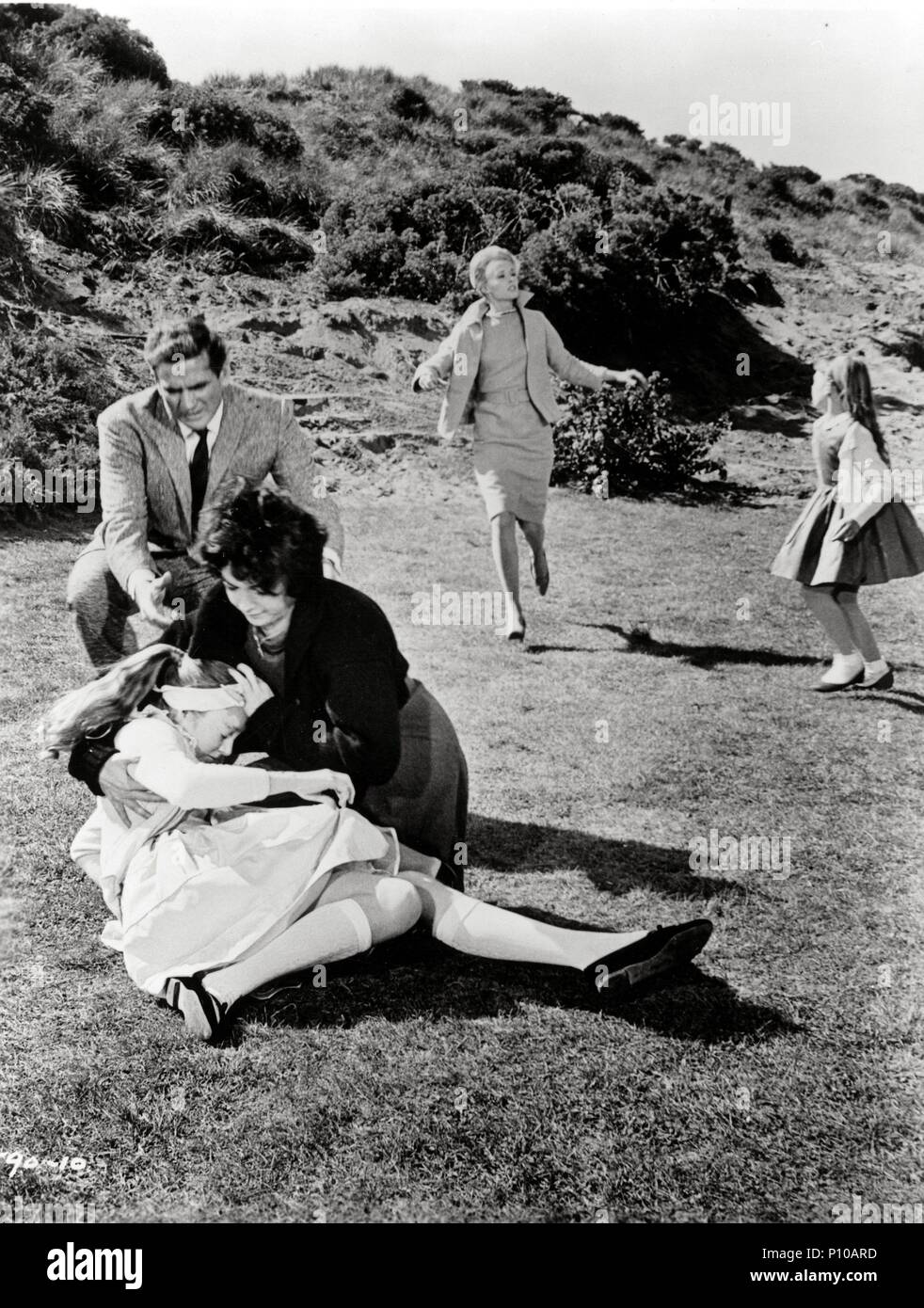 Original Film Title: THE BIRDS. English Title: THE BIRDS. Film Director ...