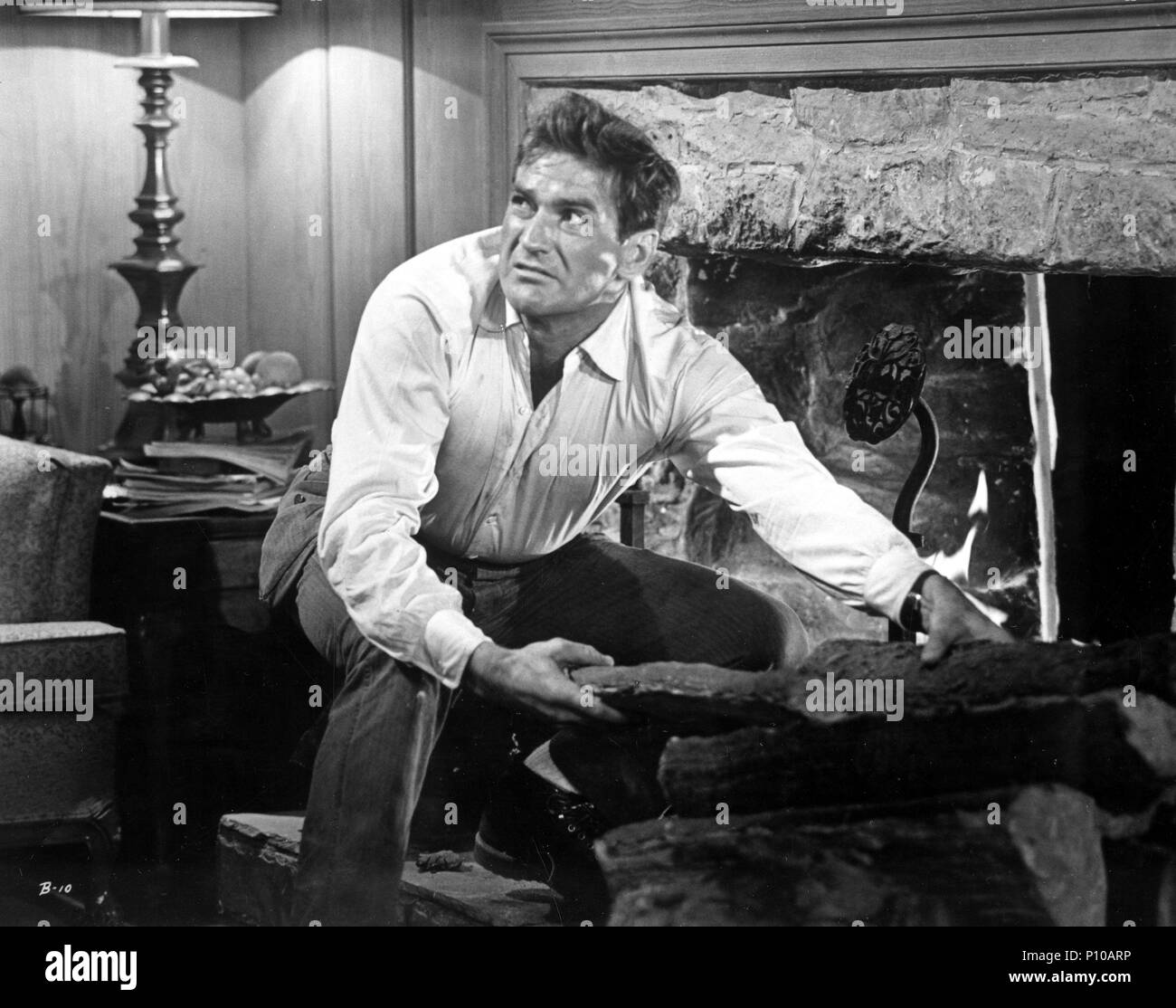 Original Film Title: THE BIRDS. English Title: THE BIRDS. Film Director ...