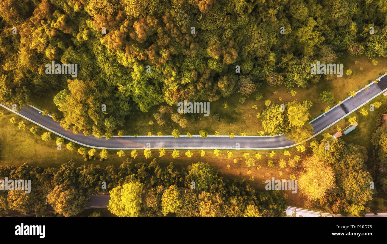 Aerial photo park sidewalk Stock Photo - Alamy