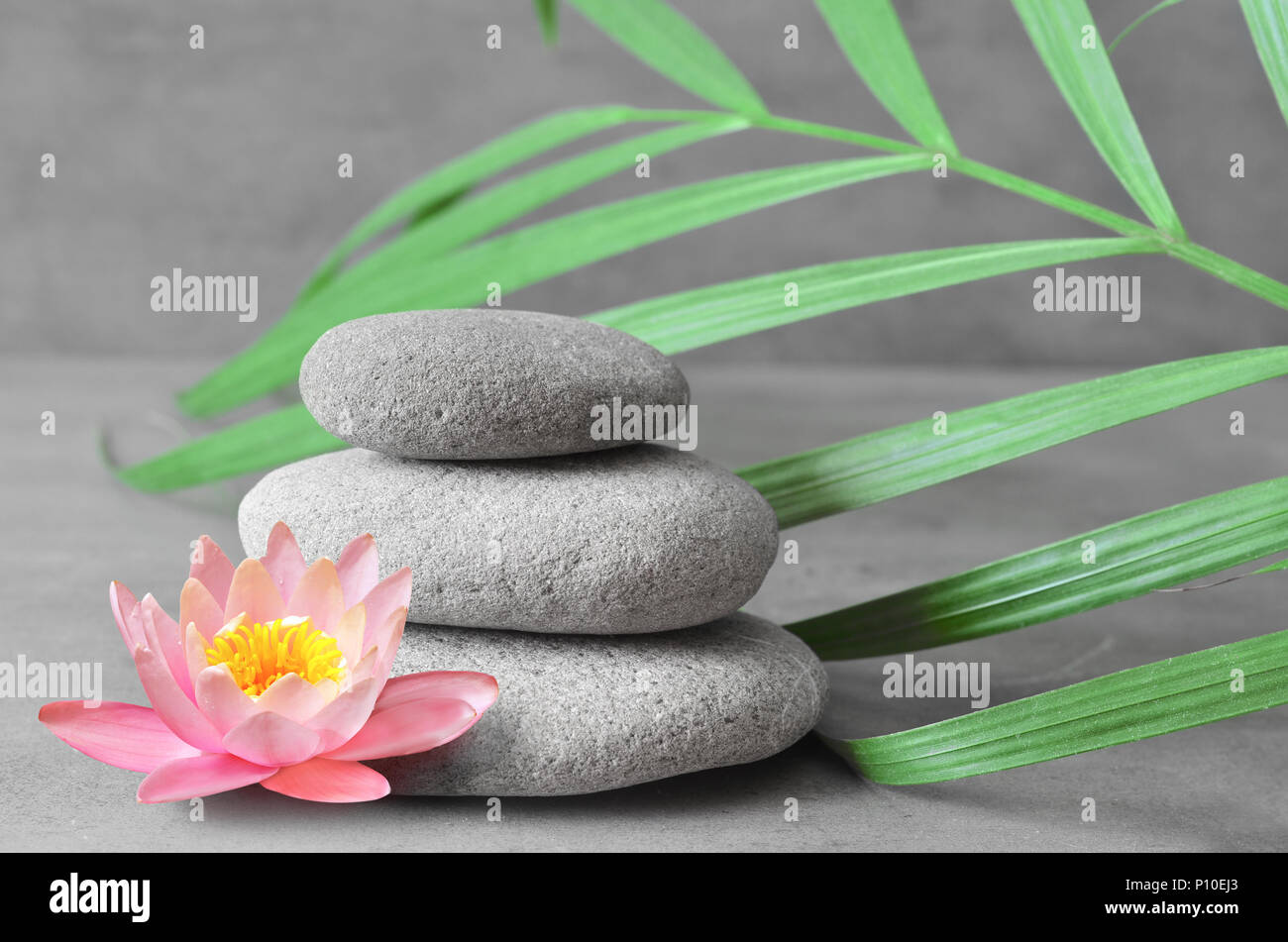 Stones balance, pink flower lotus and green palm leaf. Zen and spa ...