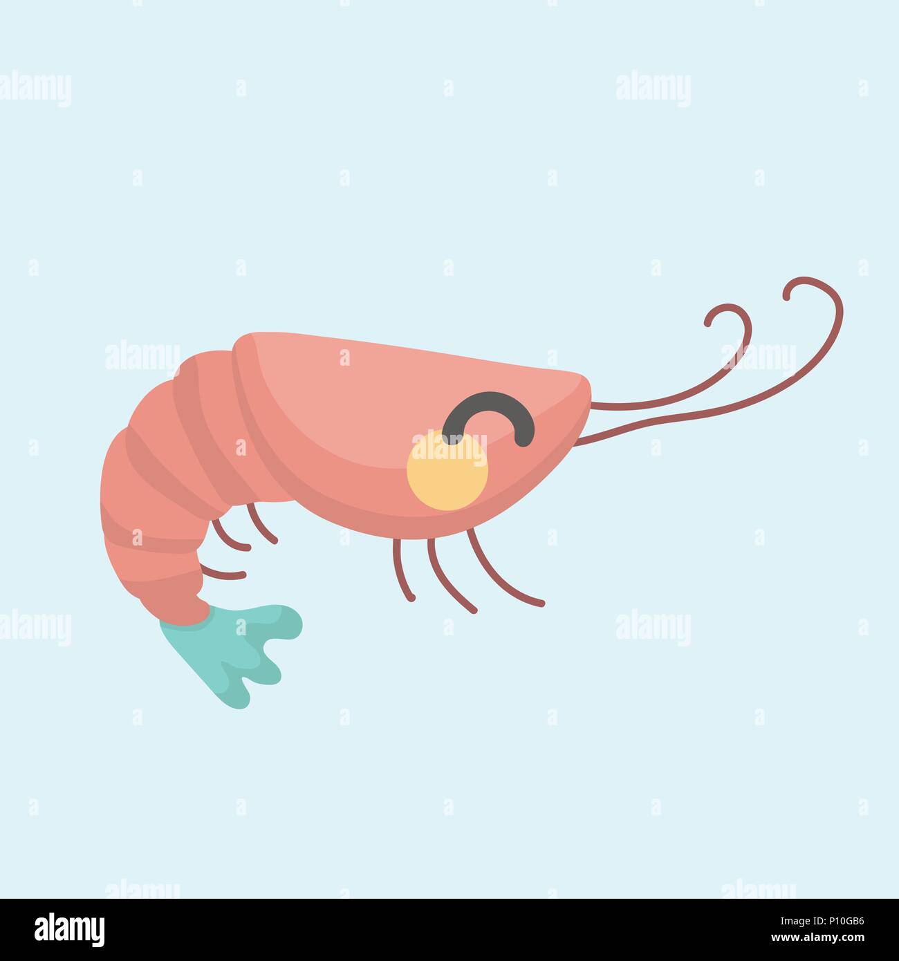 Cute Shrimp Drawing