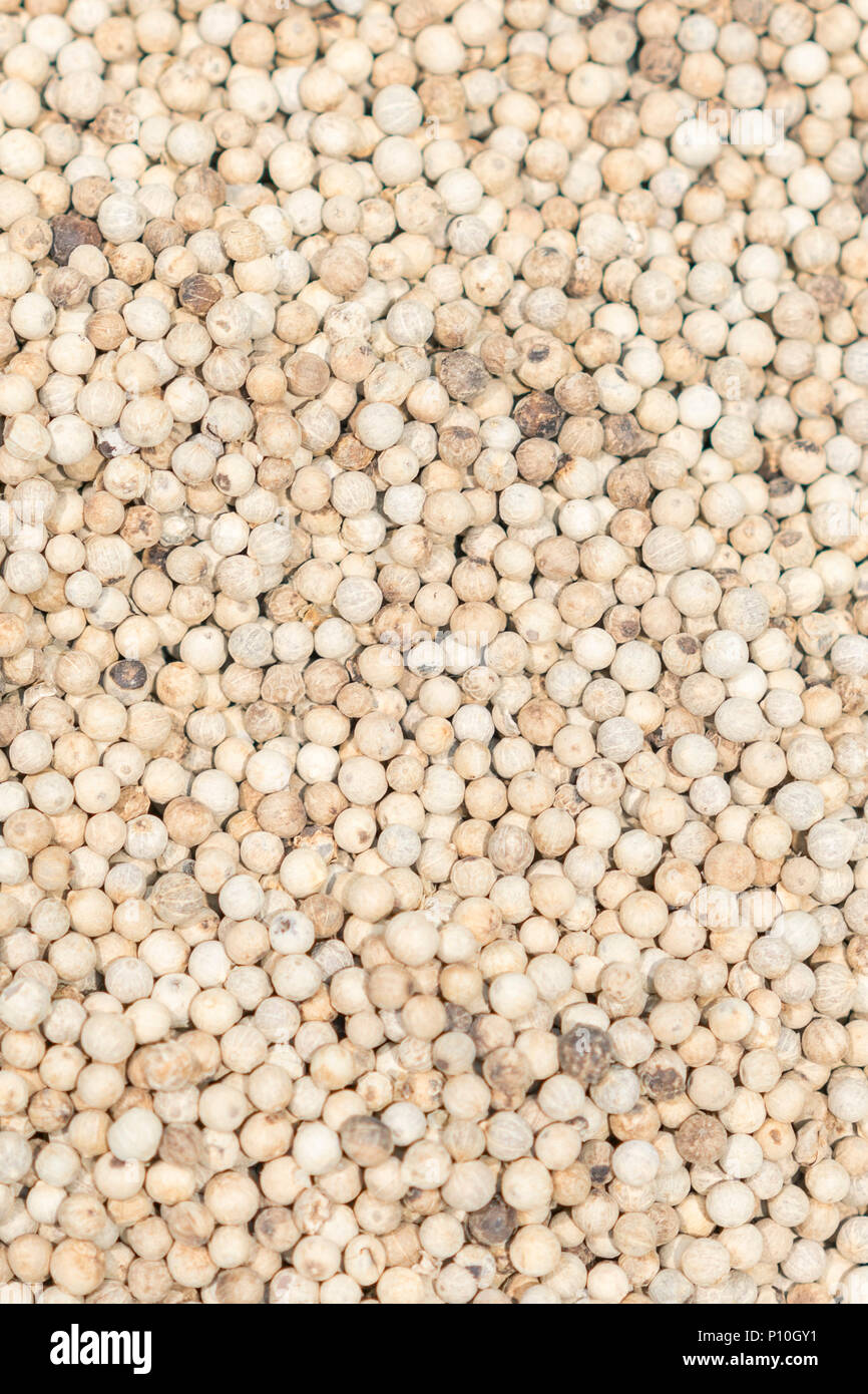White pepper. closeup background texture Stock Photo - Alamy