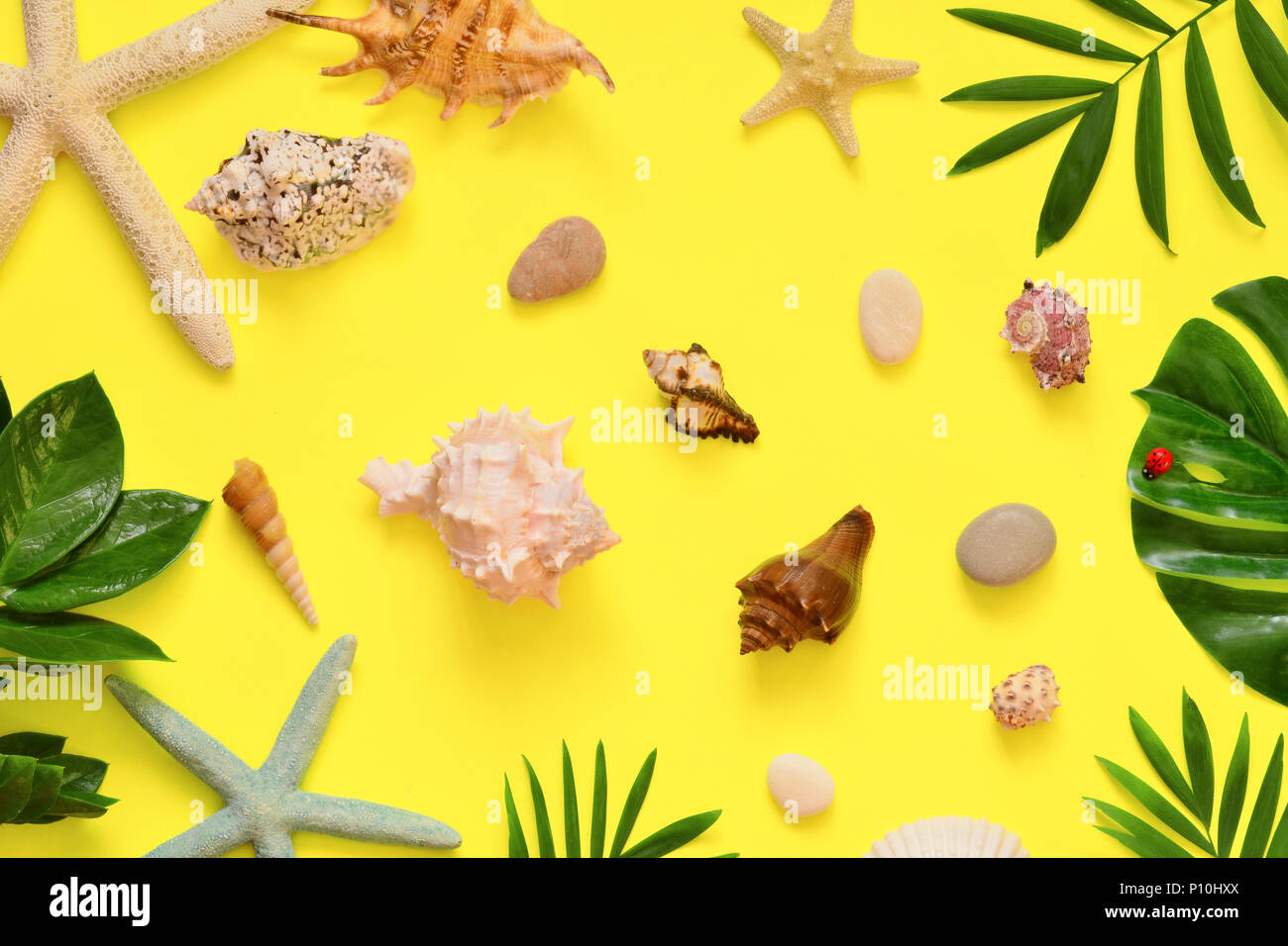 Tropical Background. Palm Trees Branches with starfish and seashell on ...