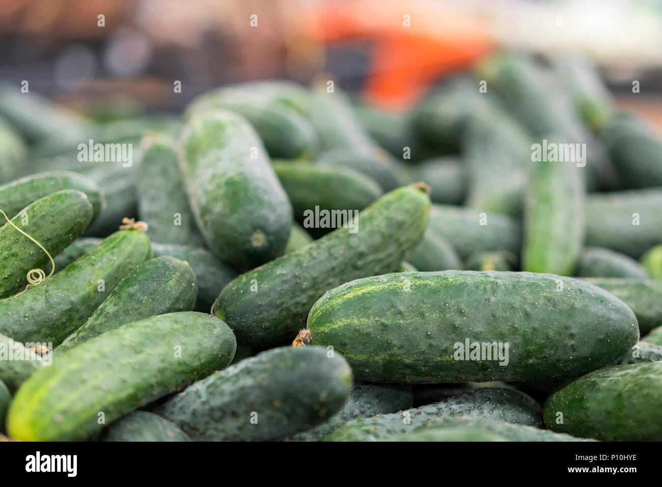 fresh cucumbers on the counter of a grocery store or supermarket. fresh ...