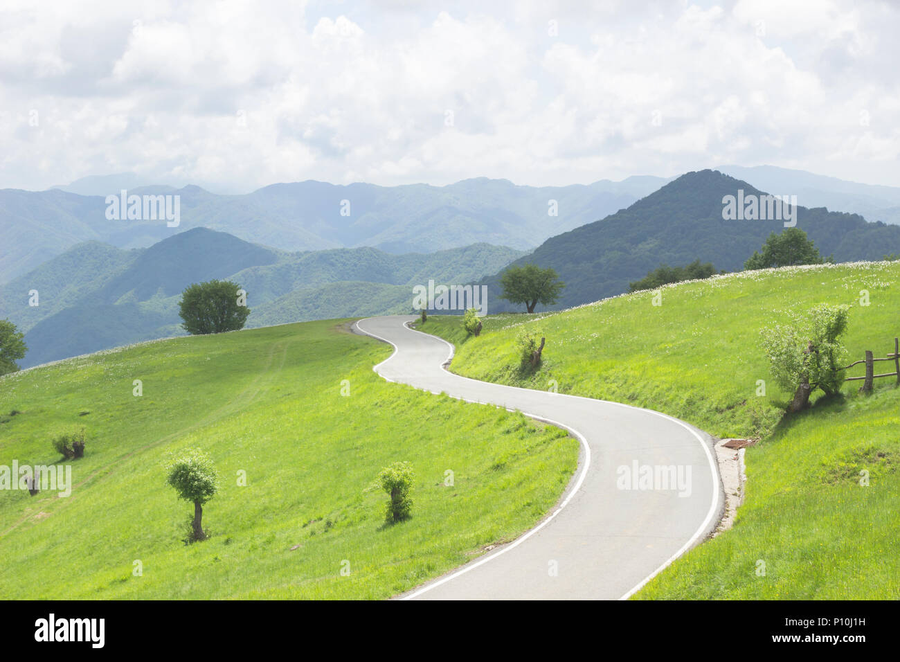 winding curvy rural road in green meadows and beautiful mountain views ...