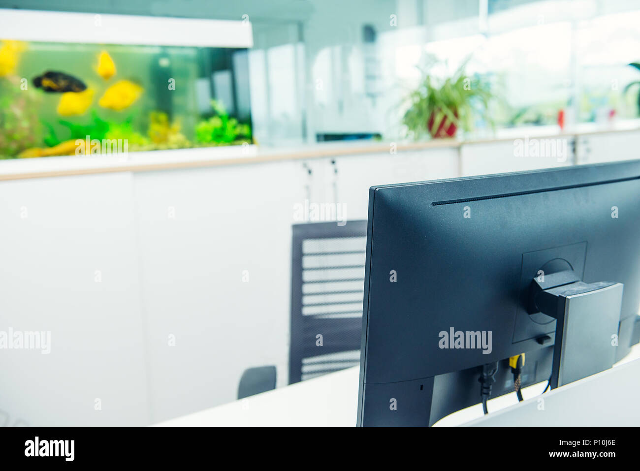 Focused computer monitor with blurred background of aquarium with ...