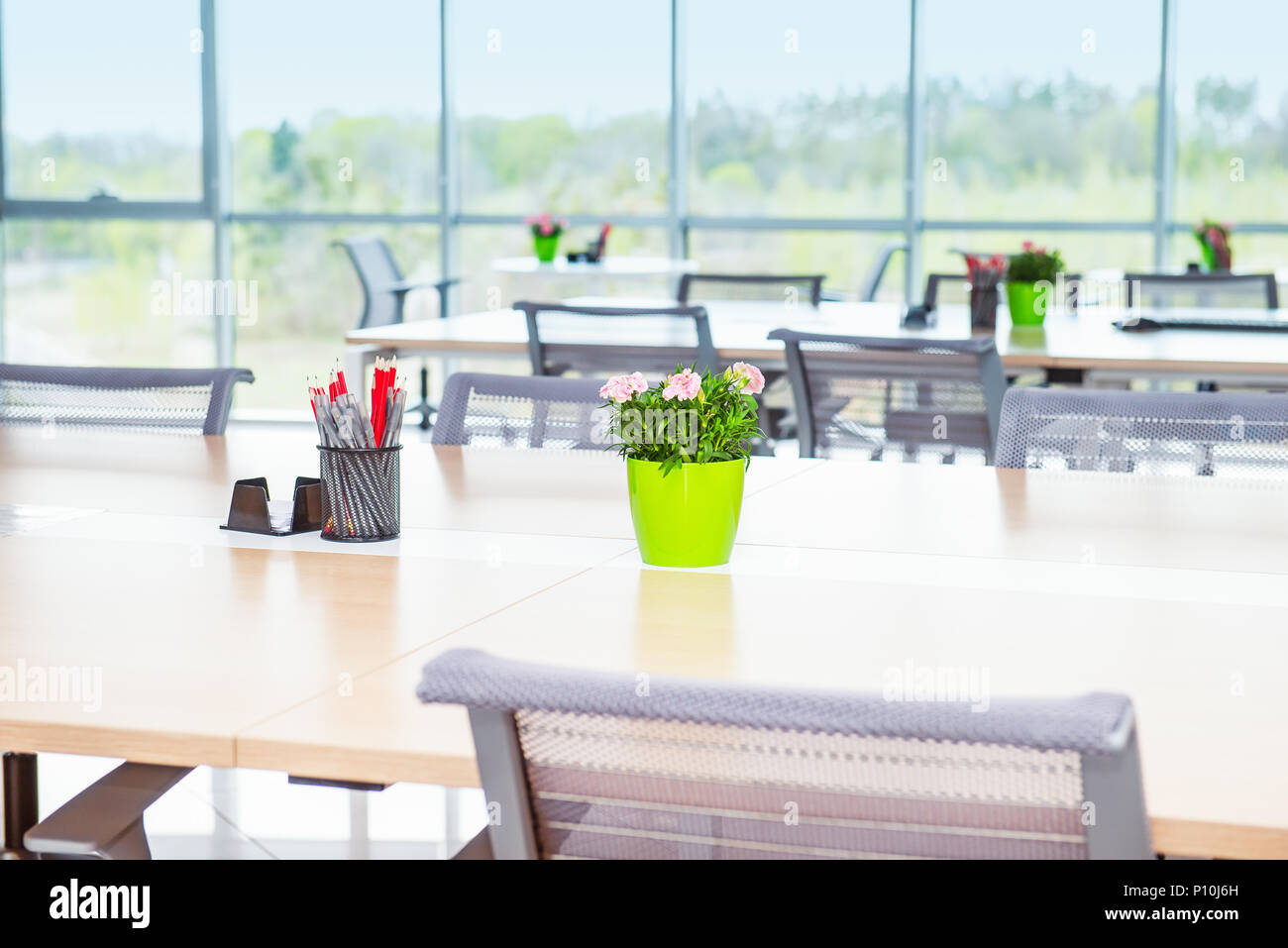Focused flower pot and stationery stand on the long office table in ...