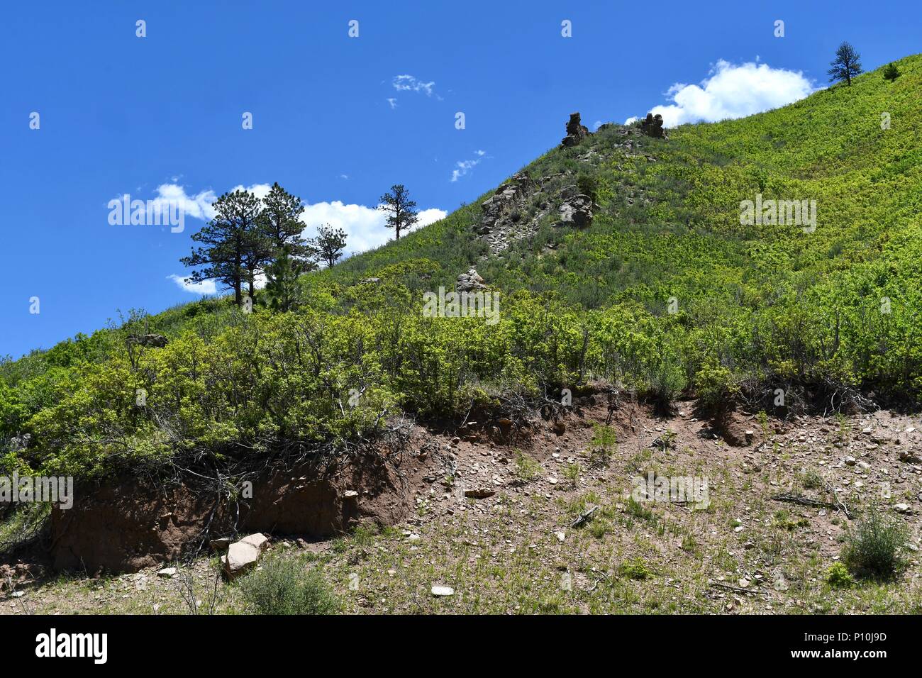 Radial dike on the Spanish Peaks in Colorado Stock Photo - Alamy