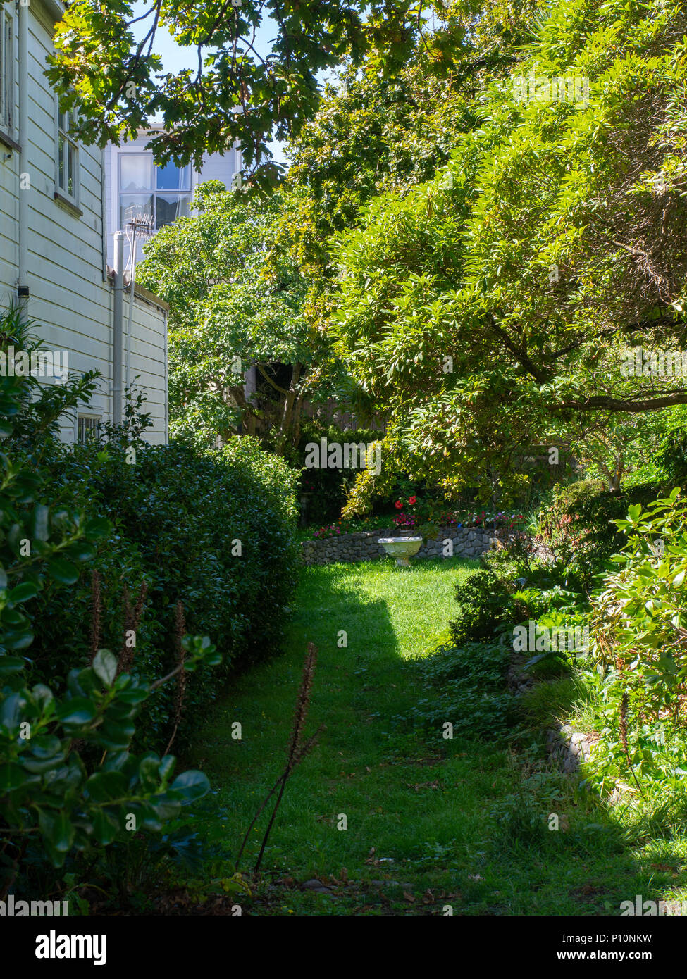 Garden shadows hi-res stock photography and images - Alamy