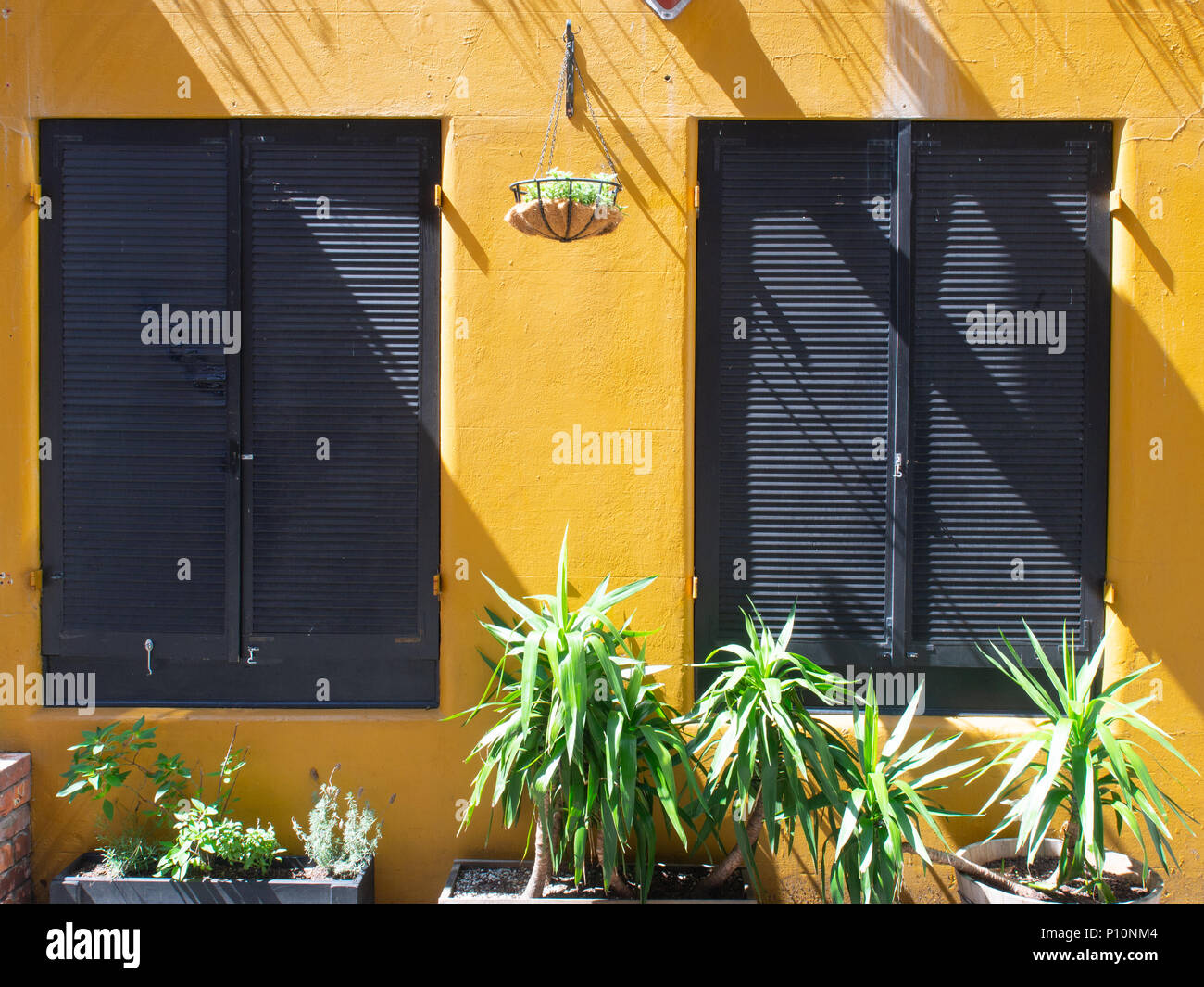 Closed windows building architecture hi-res stock photography and ...