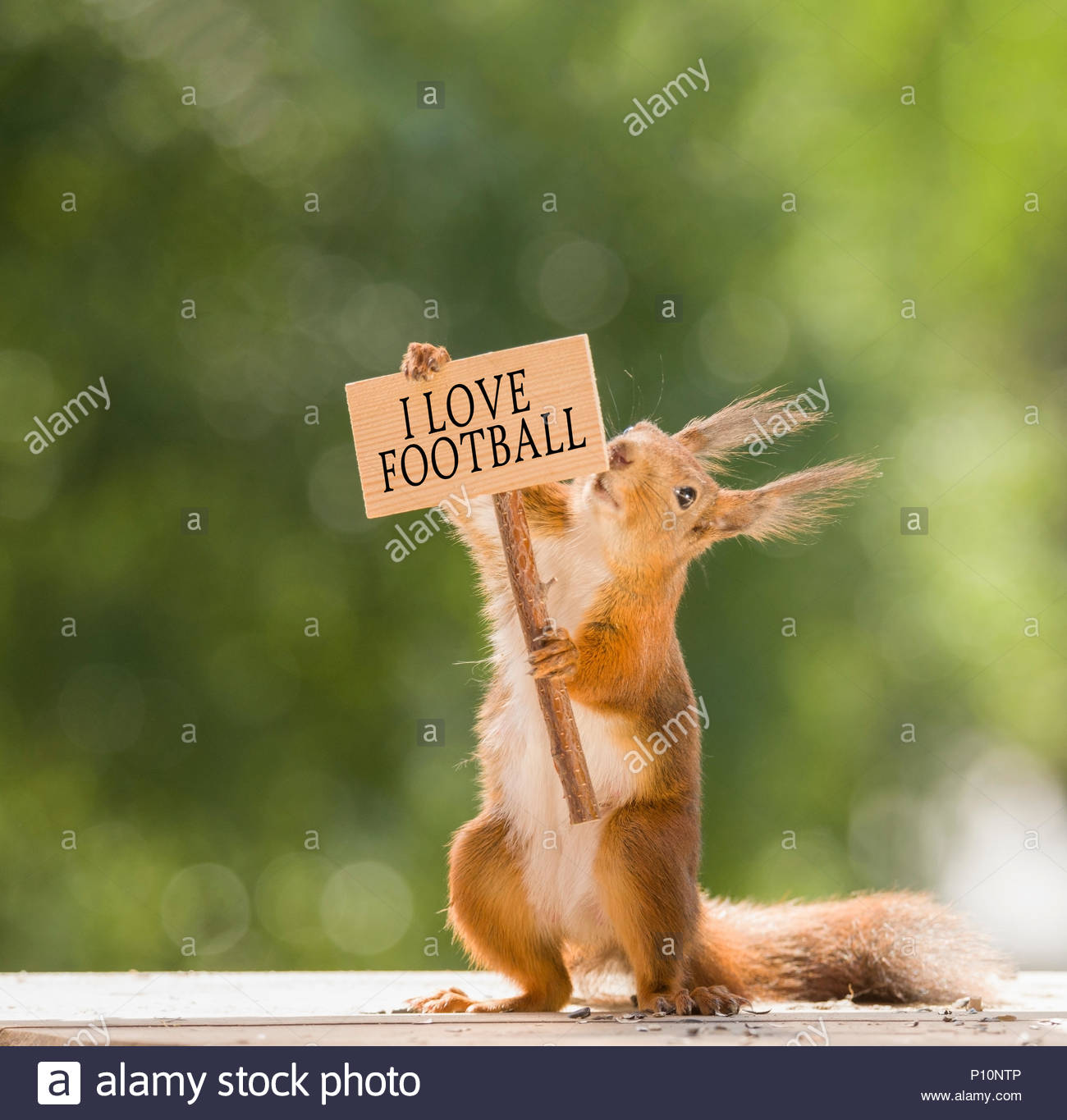 Love Football High Resolution Stock Photography and Images - Alamy