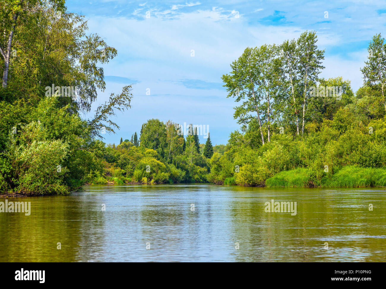Summer in Siberia Stock Photo - Alamy