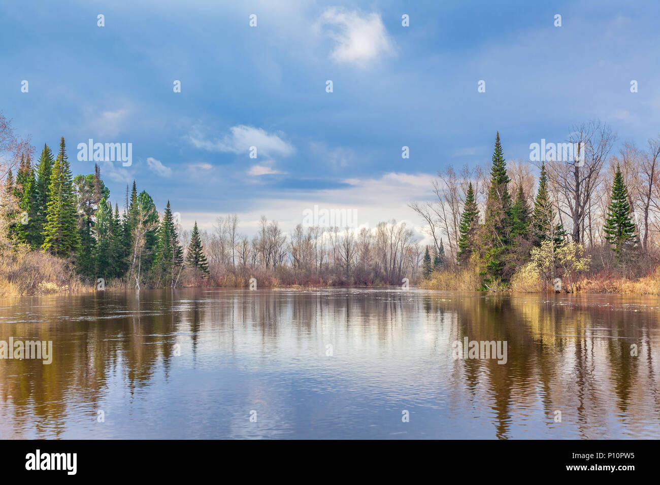 Spring in Siberia Stock Photo - Alamy