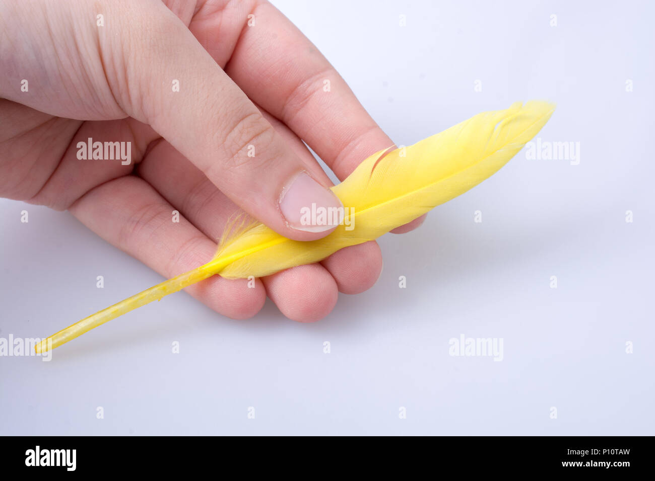 Bright colored feather in hand on white background Stock Photo - Alamy