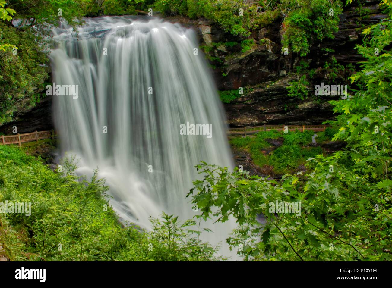 Skinny dipping hi-res stock photography and images - Alamy