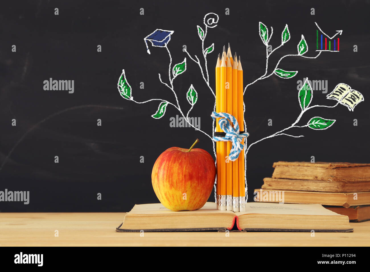 Bck to school concept. tree of knowledge sketch and pencils over open ...