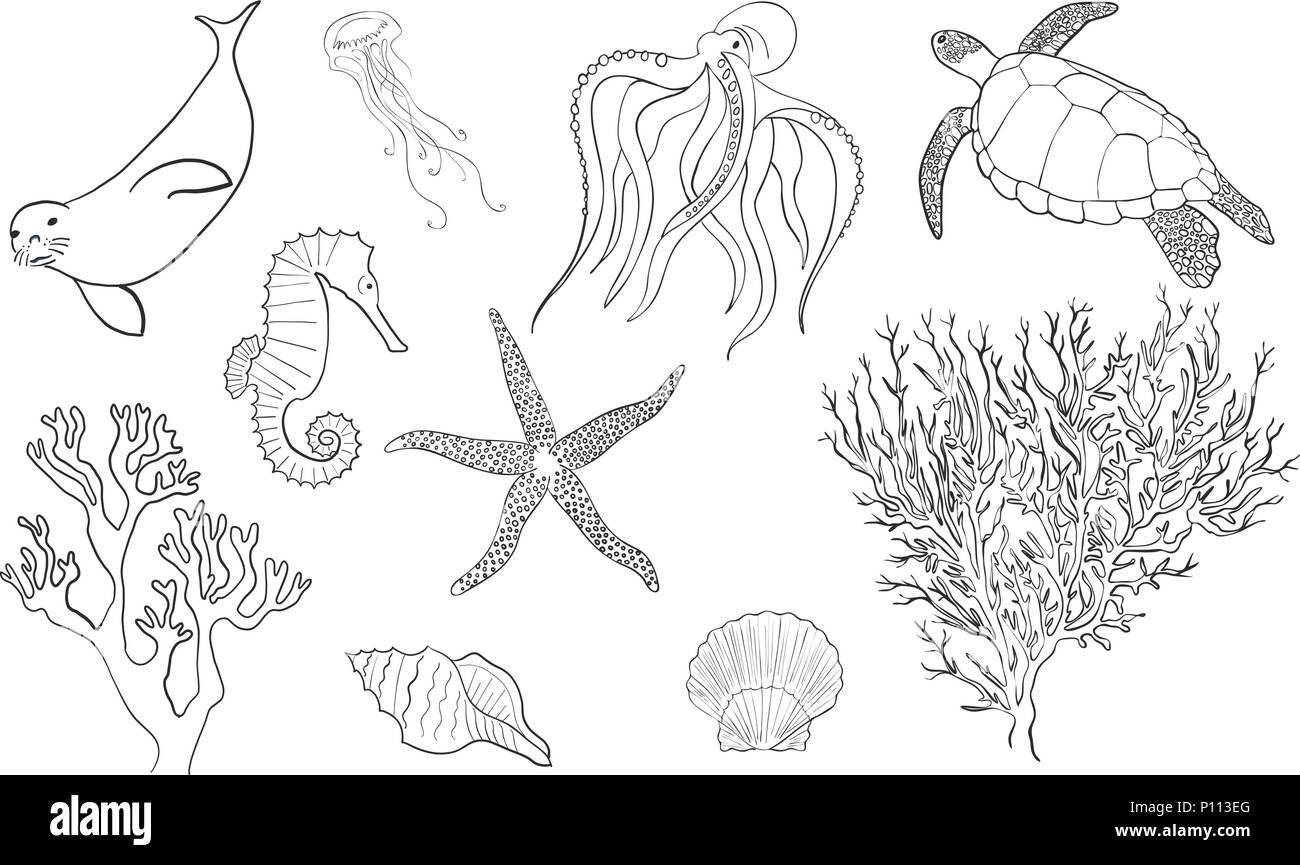 Hand drawn lineart sea life set, vector Stock Vector Image & Art - Alamy