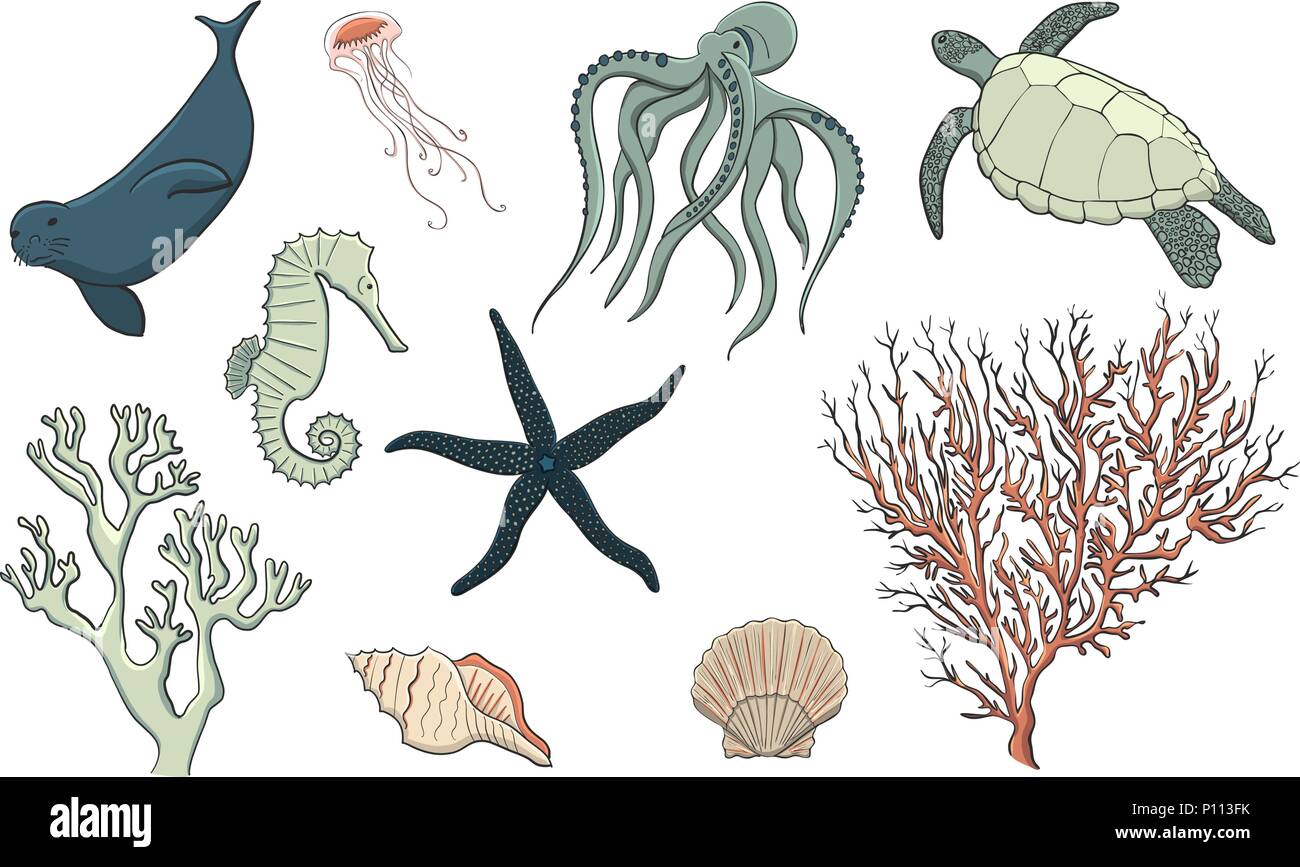 Hand drawn sea life set, vector Stock Vector Image & Art - Alamy