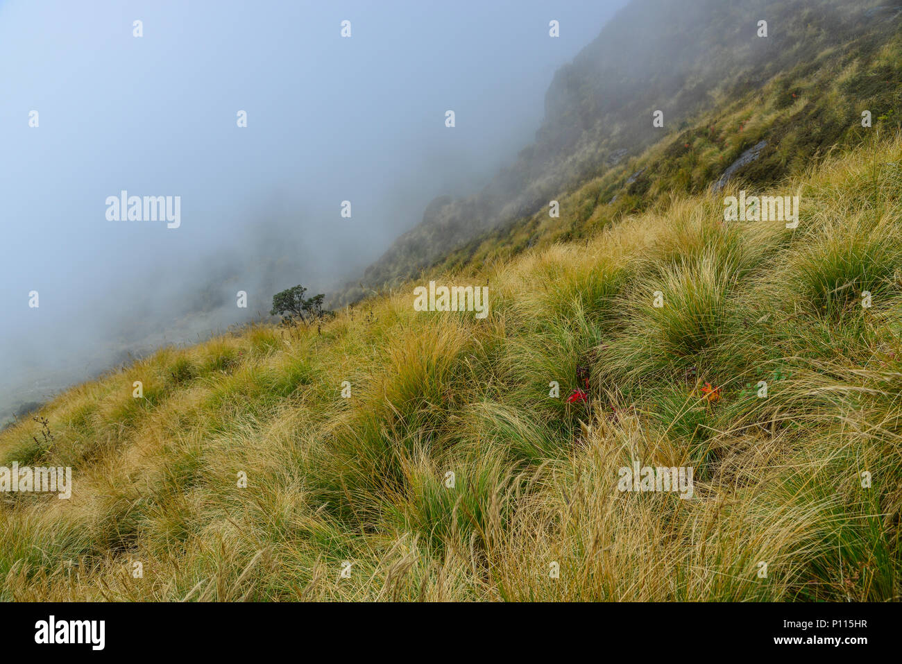 Mountain scenery at misty day in Pokhara, Nepal Stock Photo - Alamy