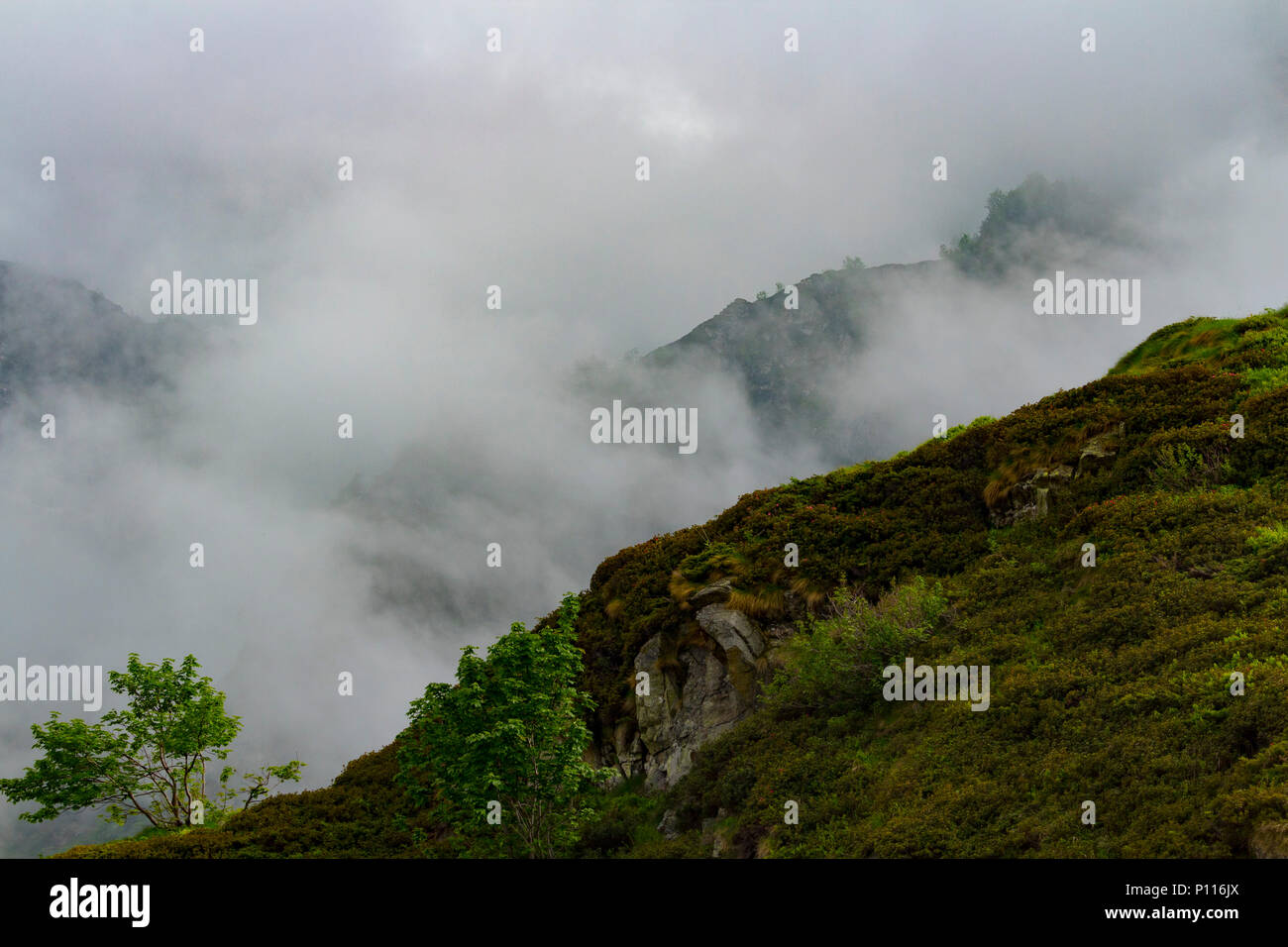 Awesome peaks mountains in the middle of mist Stock Photo - Alamy