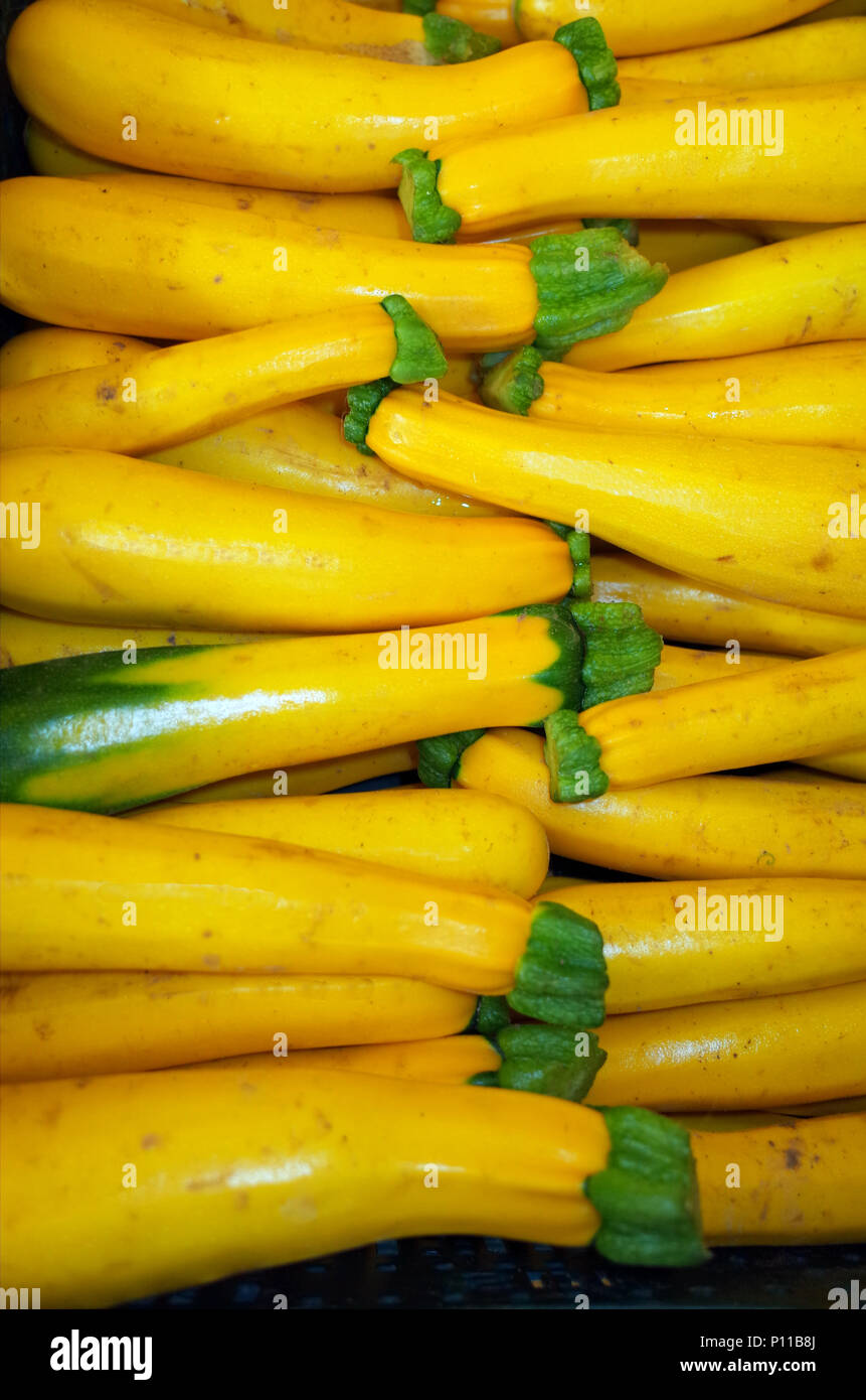 Yellow courgette on sale Stock Photo - Alamy