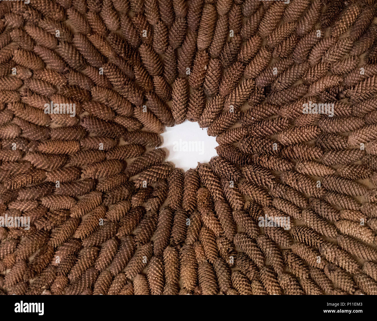 artwork of pine cone circles in land art style Stock Photo - Alamy
