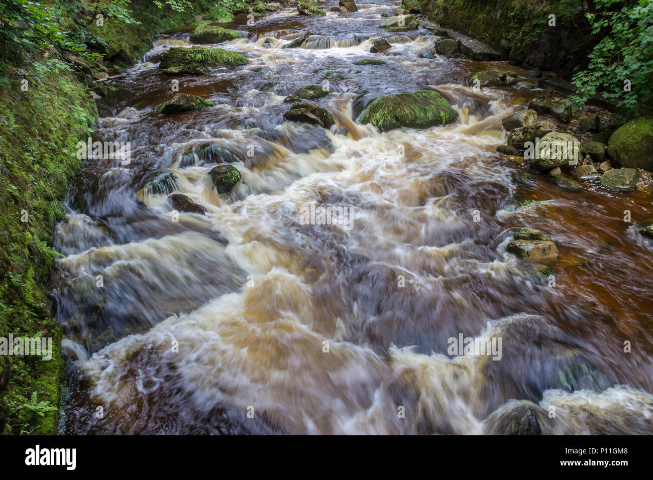 Mountain stream with stones with clear water Stock Photo - Alamy