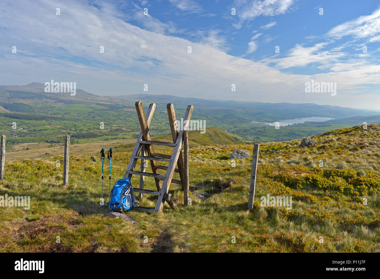 Arenig Fawr and Bala lake from Aran Fawdddwy Stock Photo - Alamy