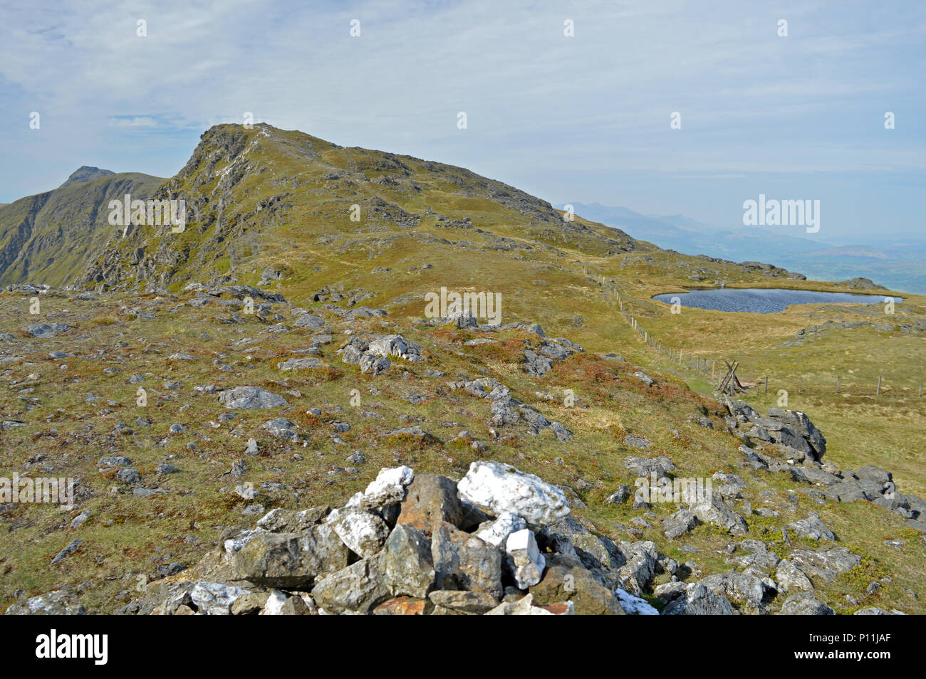 Erw y Ddafad-ddu from Benllyn on Aran Fawddwy Stock Photo - Alamy