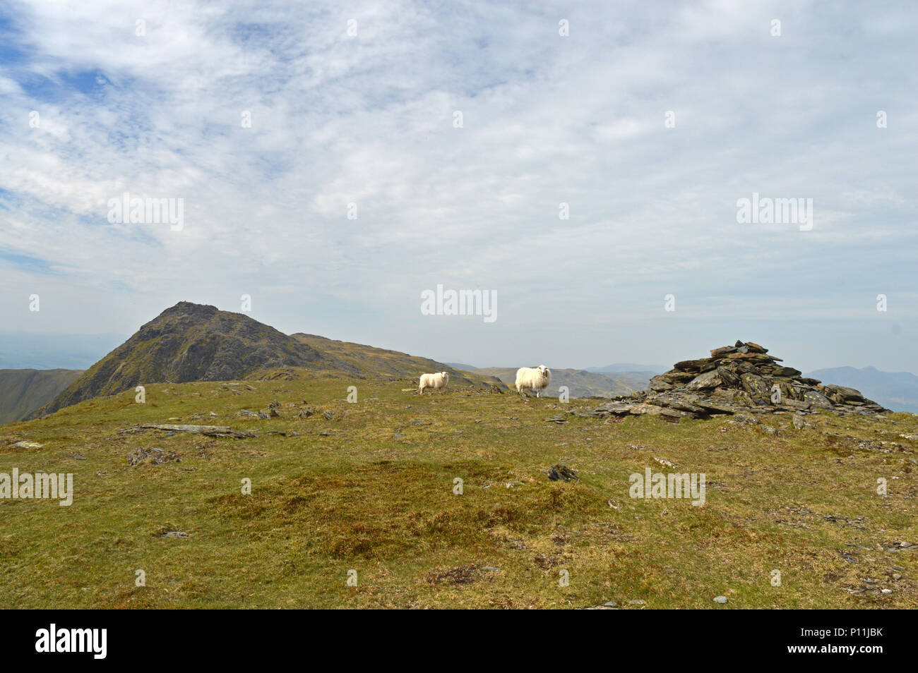 Aran fawddwy hi-res stock photography and images - Alamy