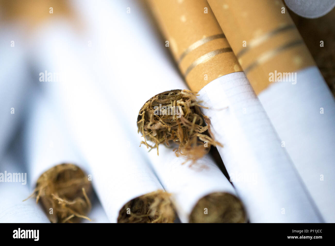 Cigarettes bud hi-res stock photography and images - Alamy