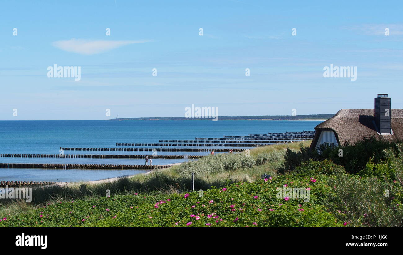 Ahrenshoop beach, Germany Stock Photo - Alamy