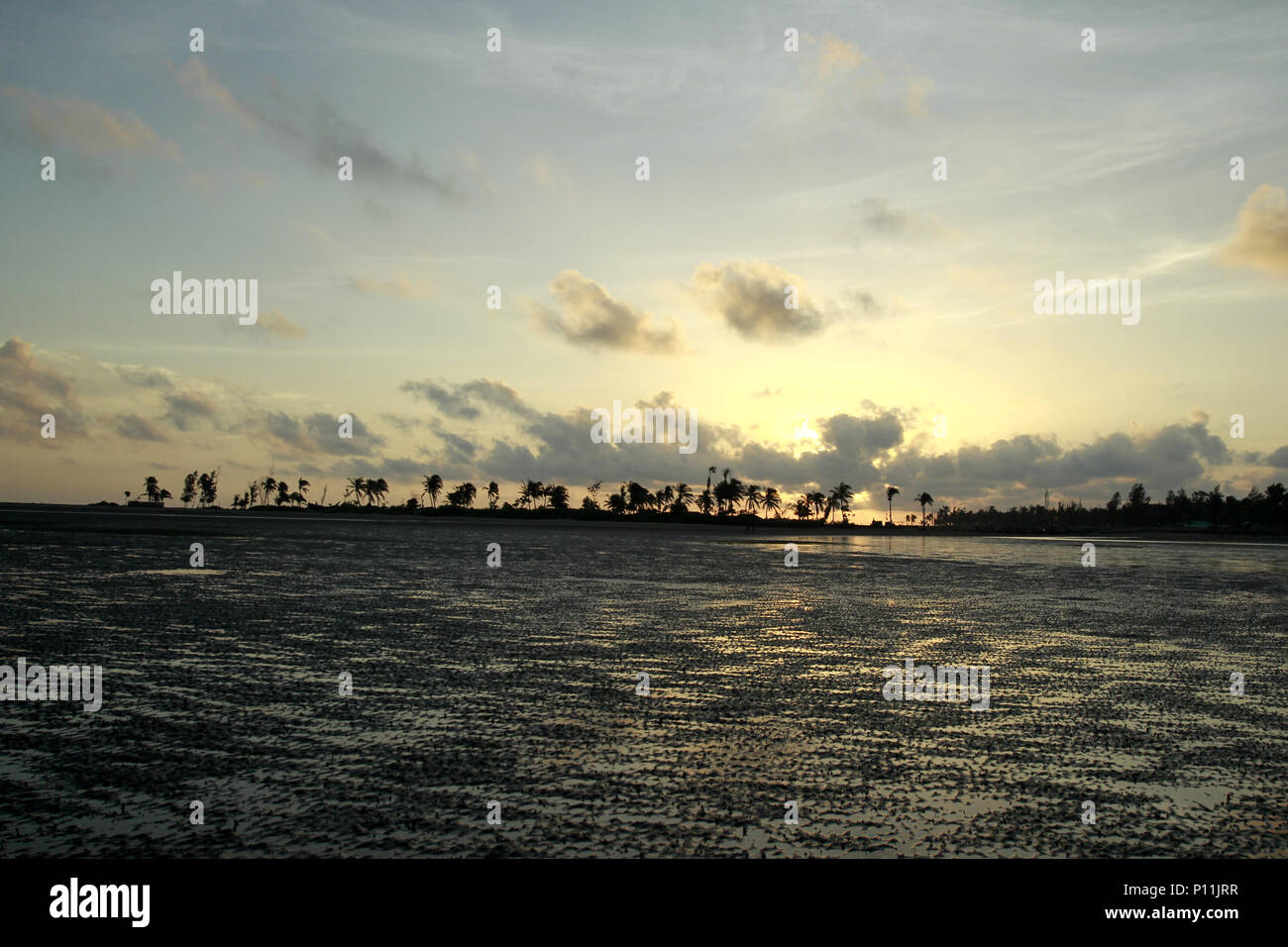 Bangladesh teknaf wildlife hi-res stock photography and images - Alamy
