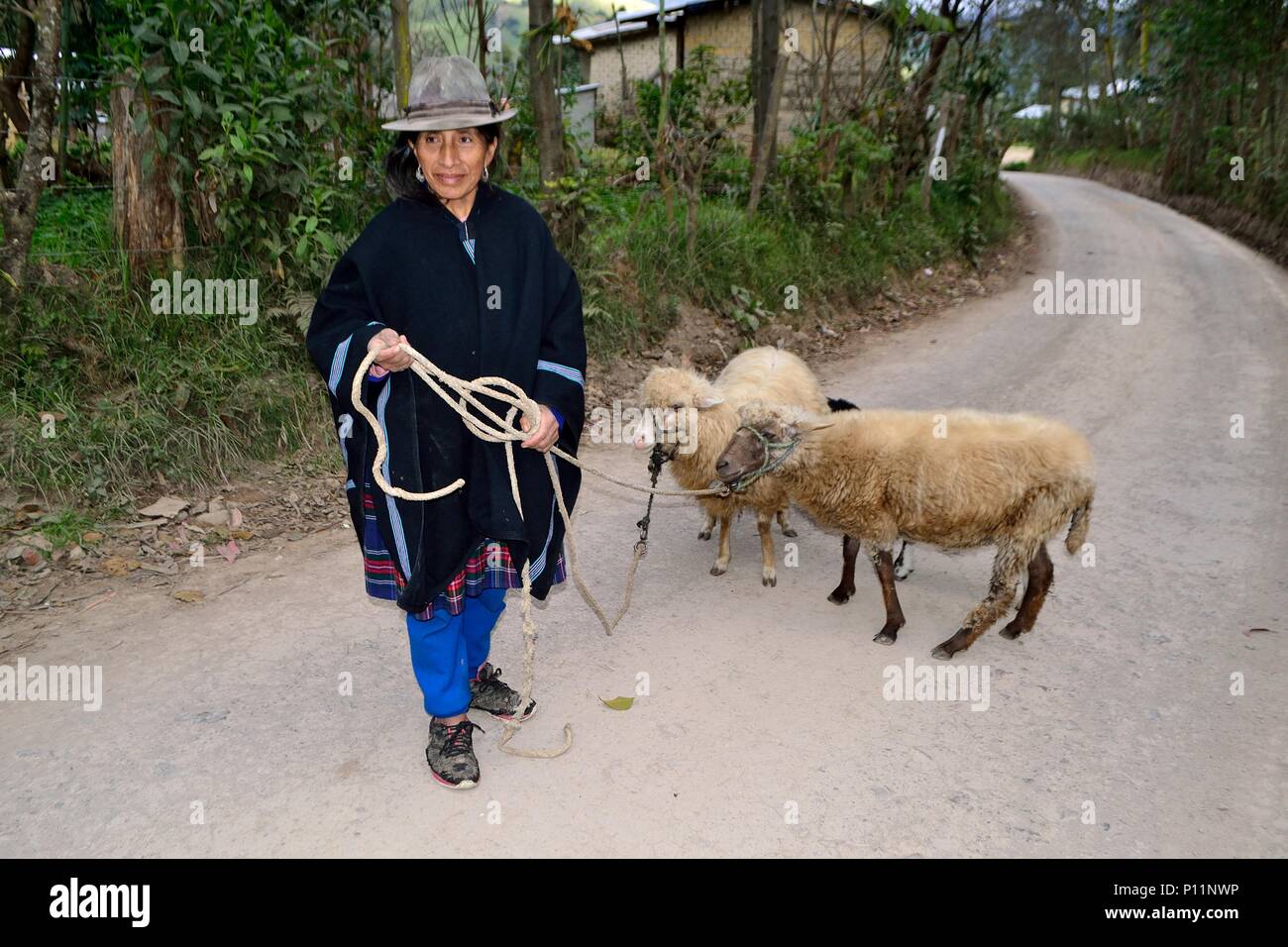 Shepherd in SALALA " Las Huaringas " - HUANCABAMBA.. Department of ...