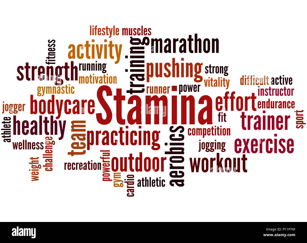 Stamina is staying power or enduring strength, word cloud concept on ...