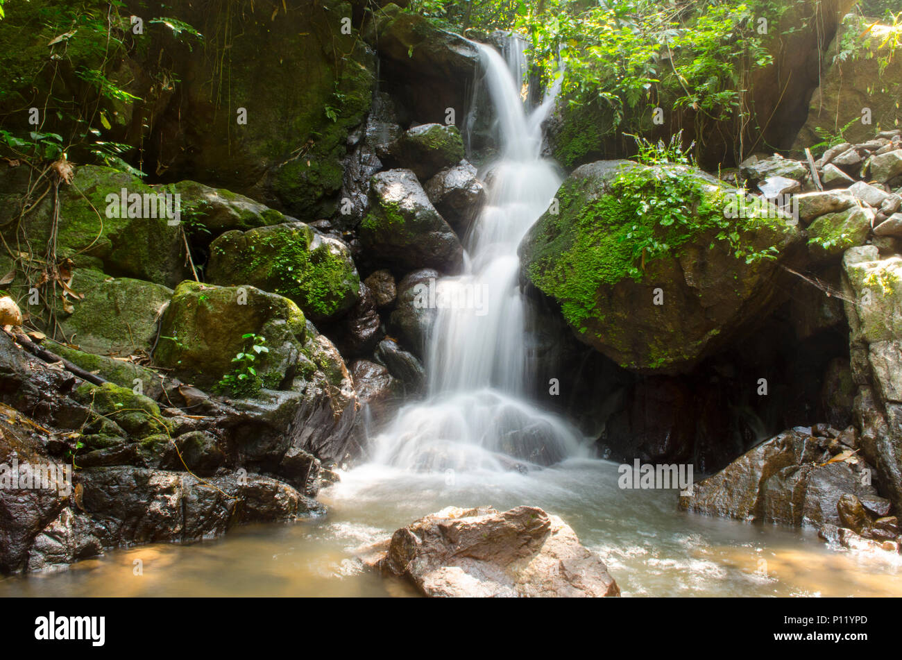 Tropical waterfall in rain forest Stock Photo - Alamy
