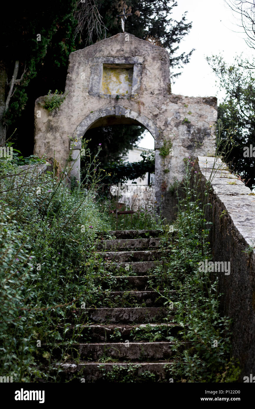 Shrubs and bushes growing on the steps towards the entrance of old ...