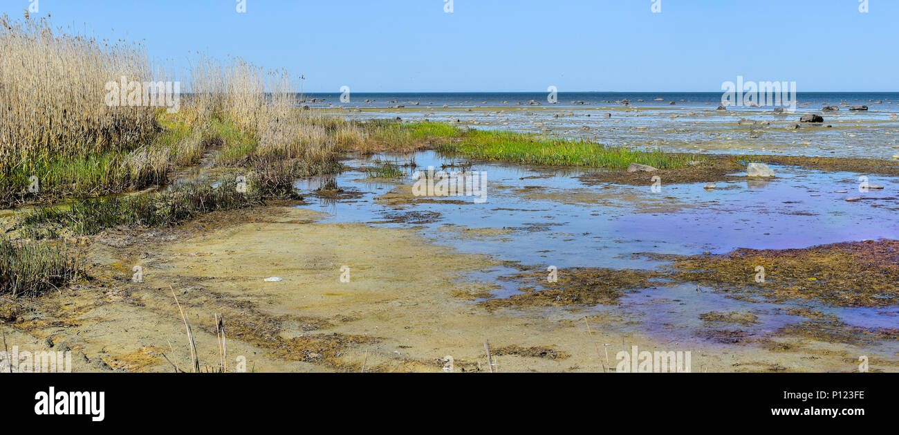 Puddles of water hi-res stock photography and images - Alamy