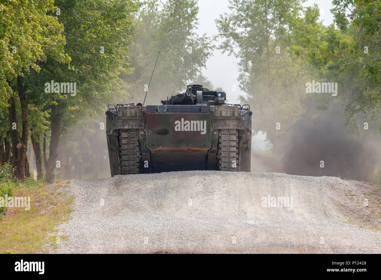 Puma armored infantry fighting vehicle hi-res stock photography and ...