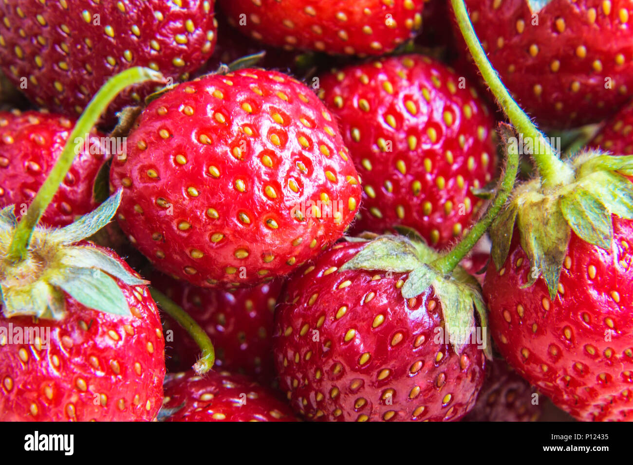 Strawberry berries on the entire surface of the image, close-up Stock ...