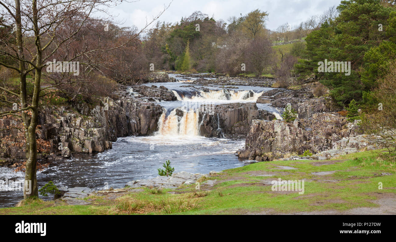 The Low Force waterfalls in Teesdale,England,UK Stock Photo - Alamy