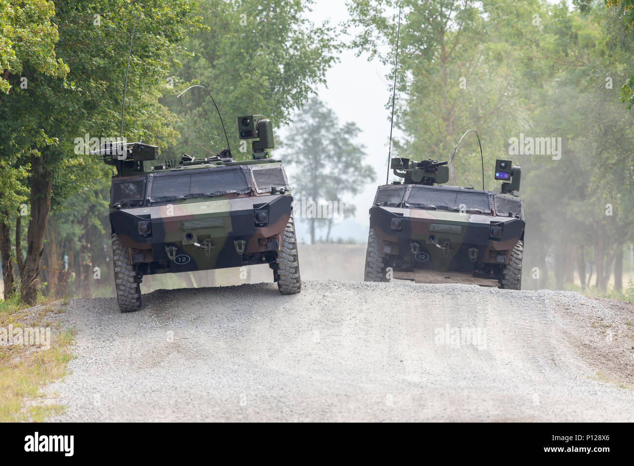 German light armoured reconnaissance vehicle drives on a road Stock ...