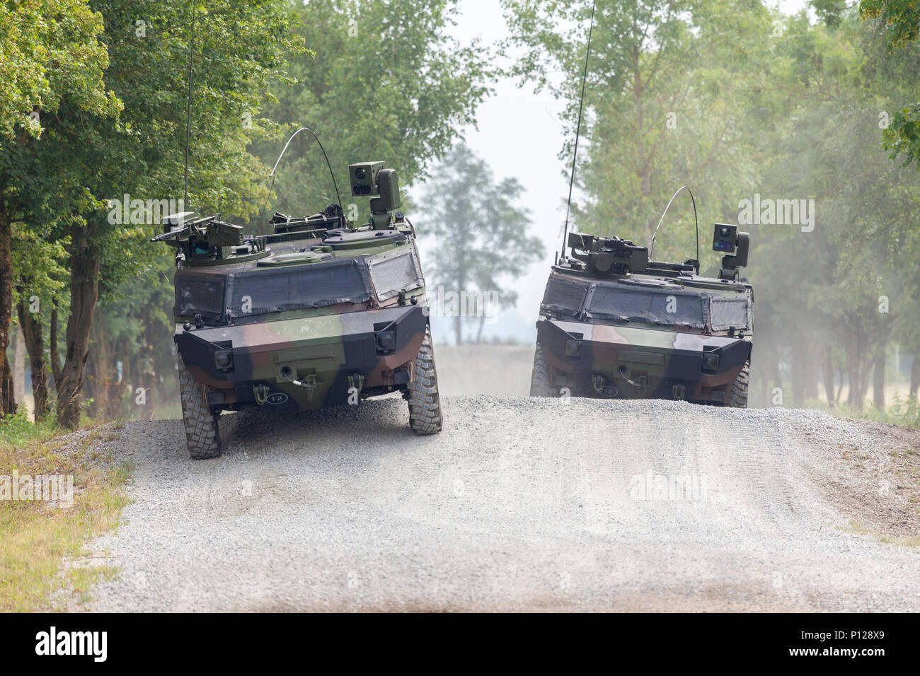 German light armoured reconnaissance vehicle drives on a road Stock ...