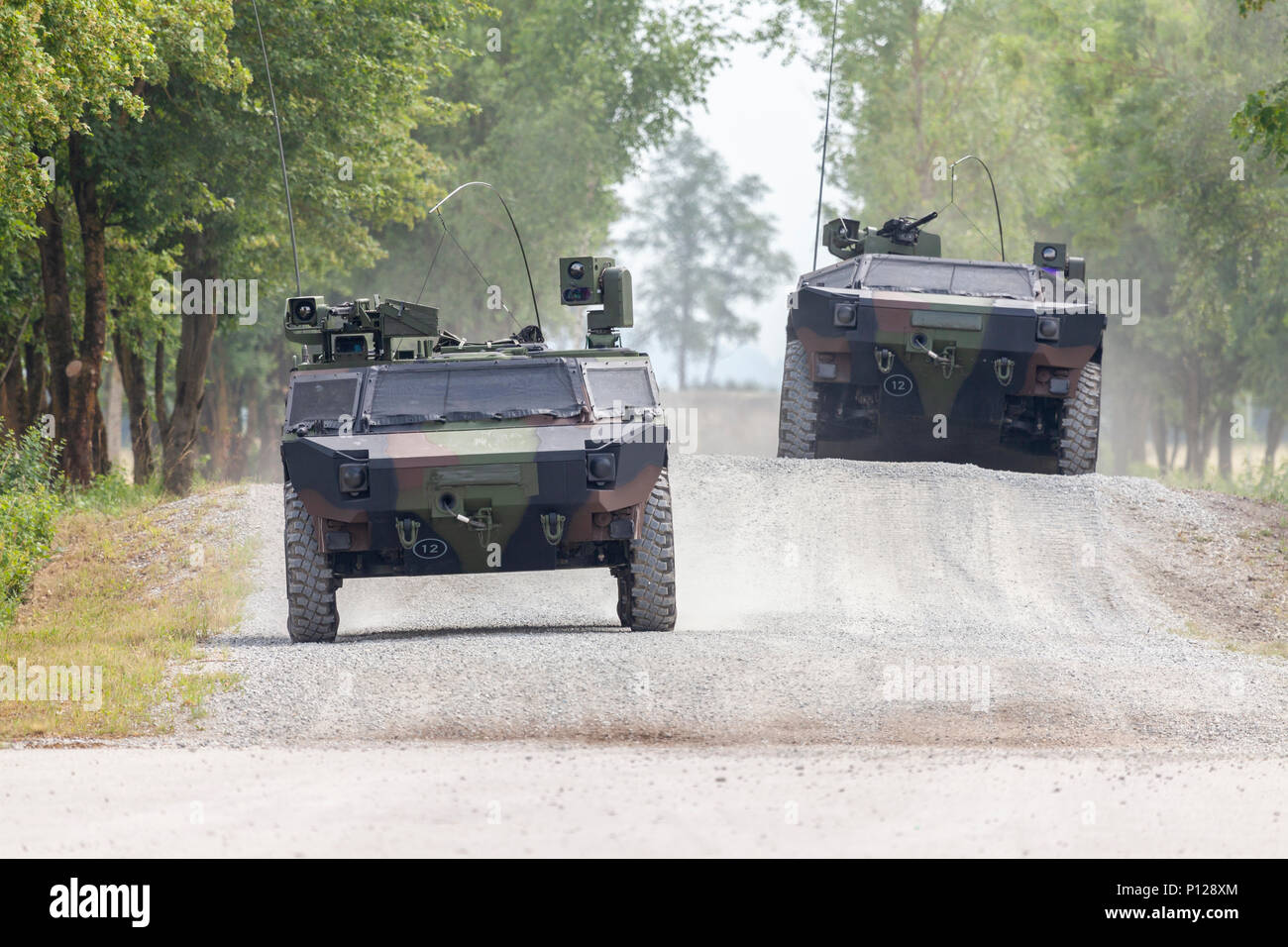 German light armoured reconnaissance vehicle drives on a road Stock ...