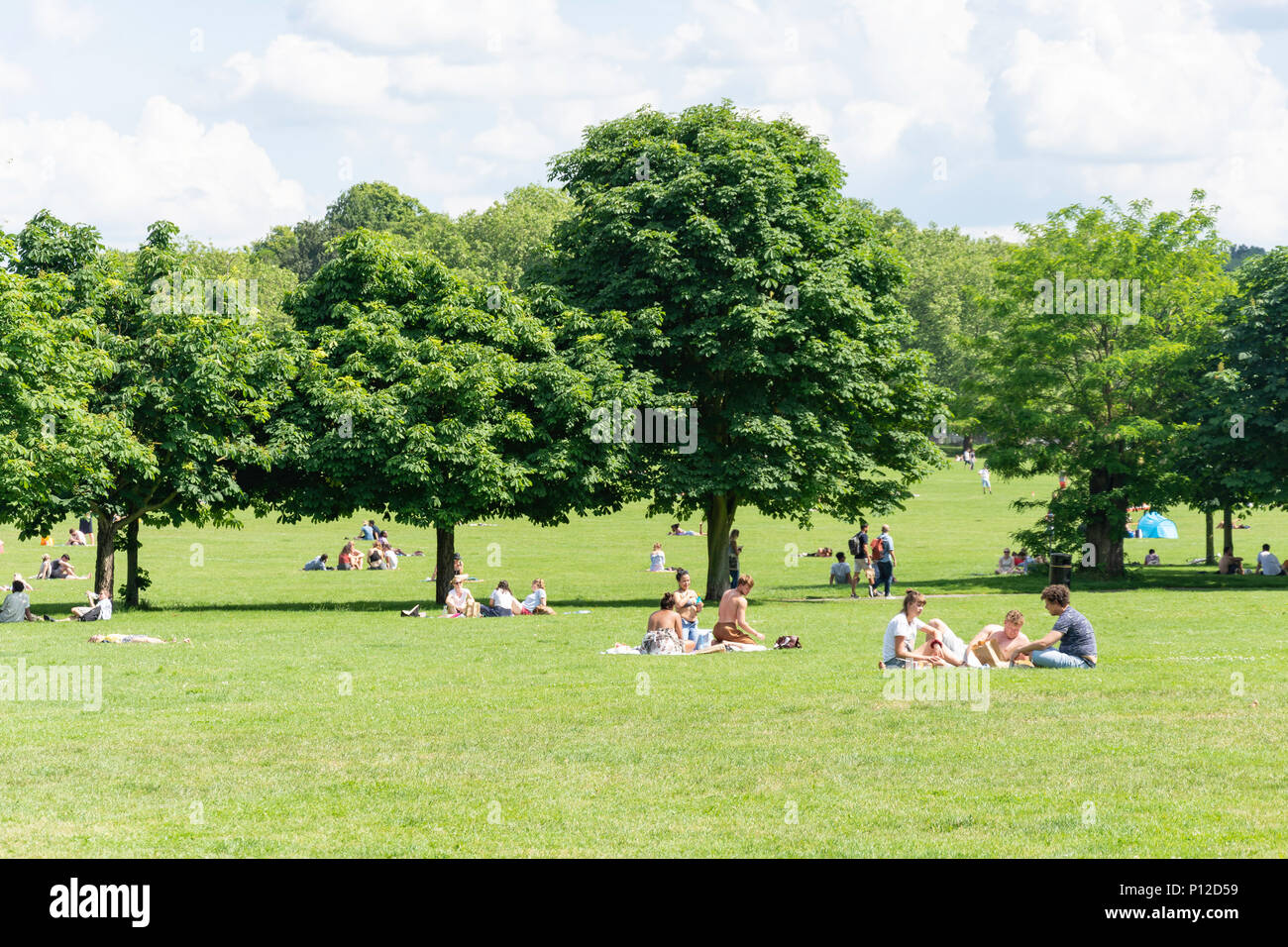 Peckham rye common the london borough of southwark hi-res stock ...