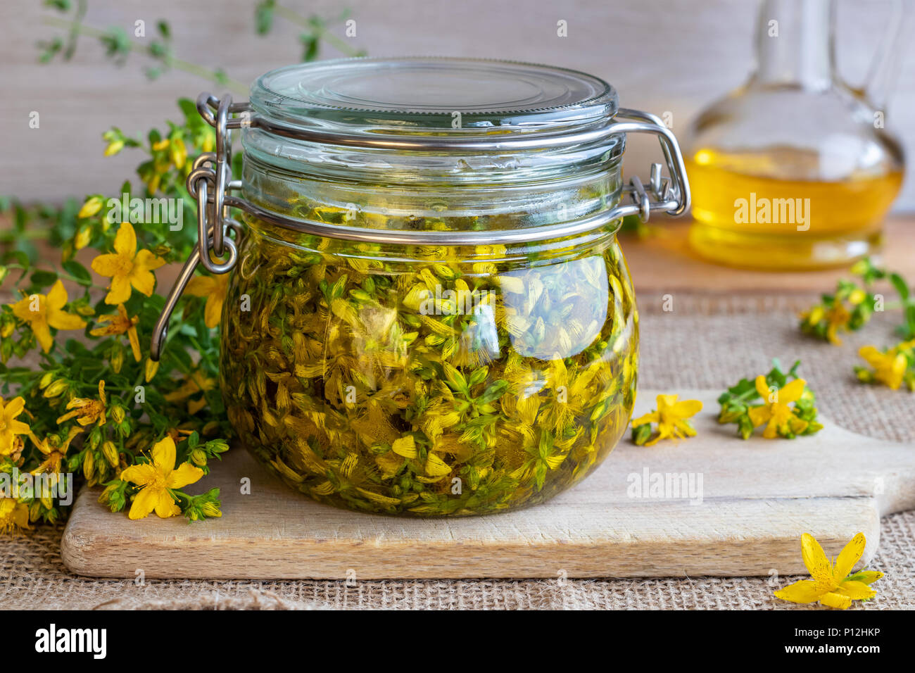 St. John's wort flowers macerating in olive oil in a glass jar Stock ...