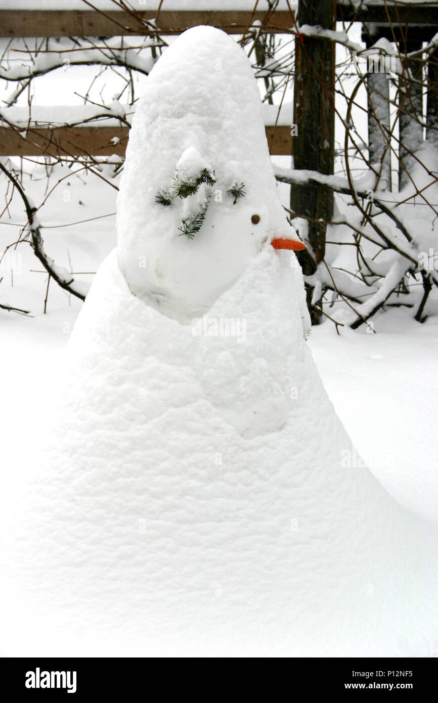 Cute snowman in backyard Stock Photo - Alamy
