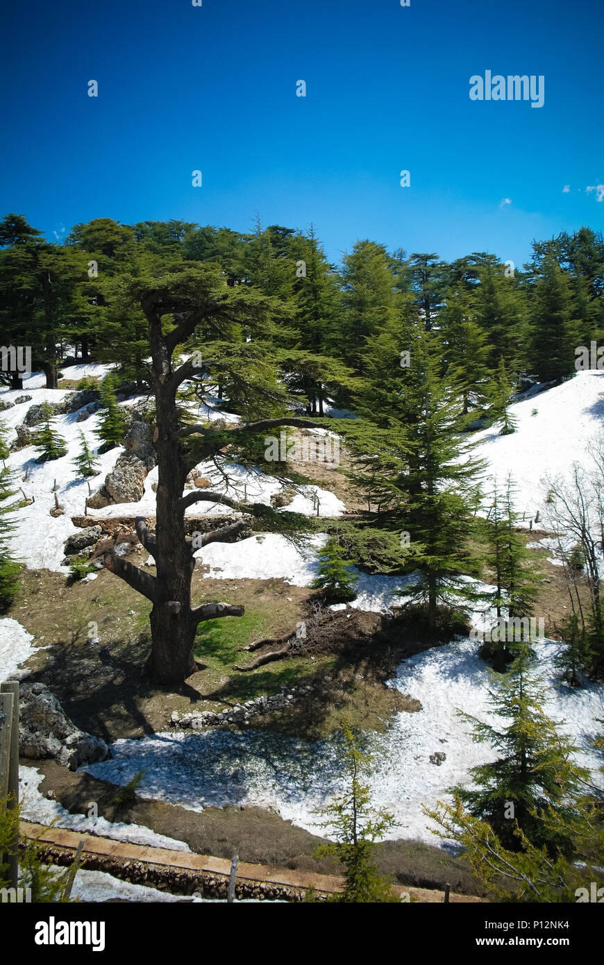 Ar rabb hi-res stock photography and images - Alamy