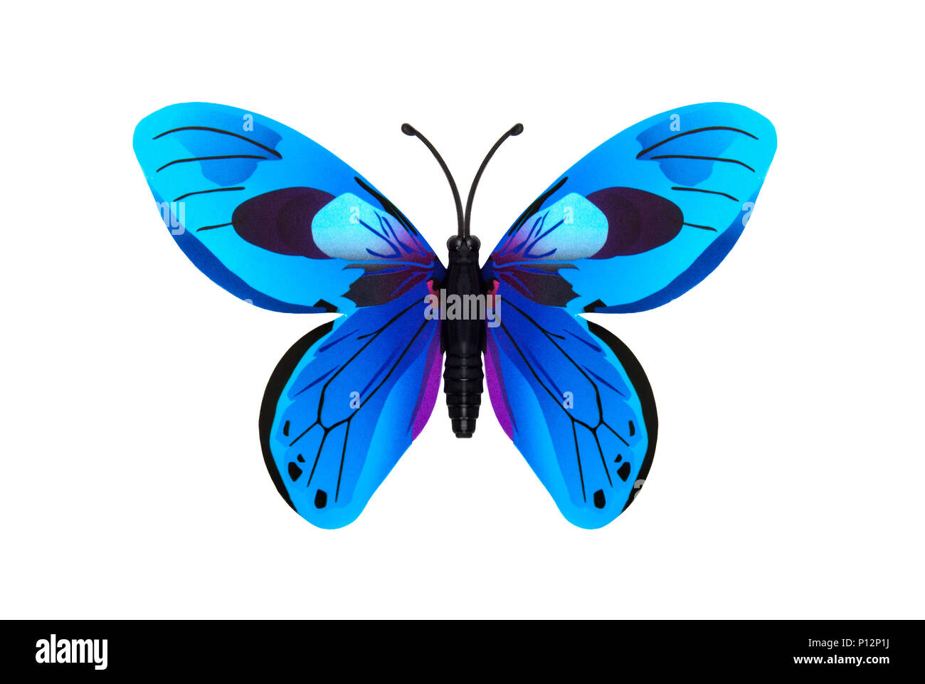 Beautiful blue colored butterfly isolated over white Stock Photo - Alamy